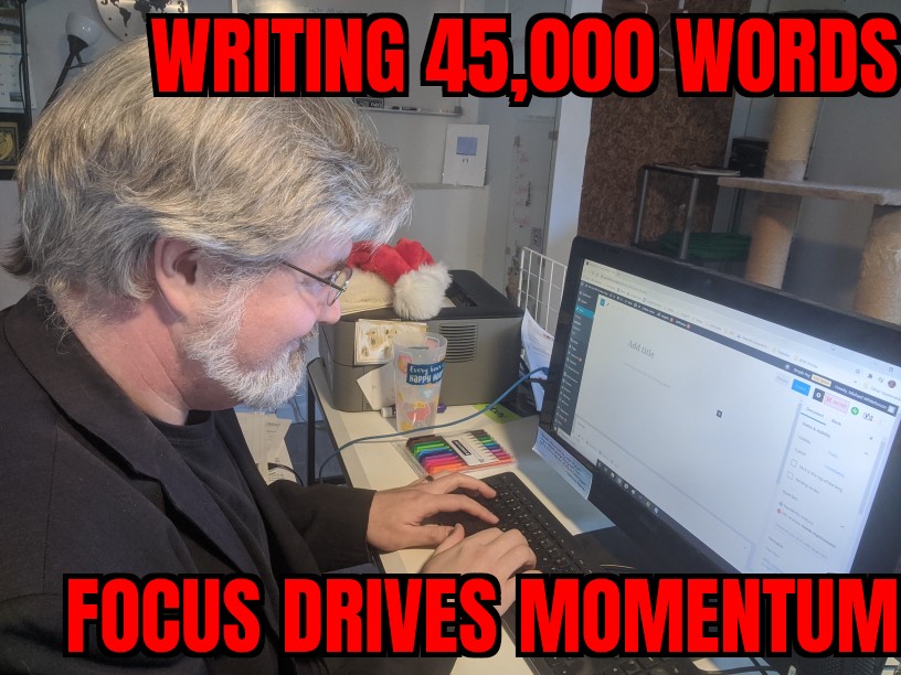 Focus Drives Momentum: Writing 45,000 Words in January